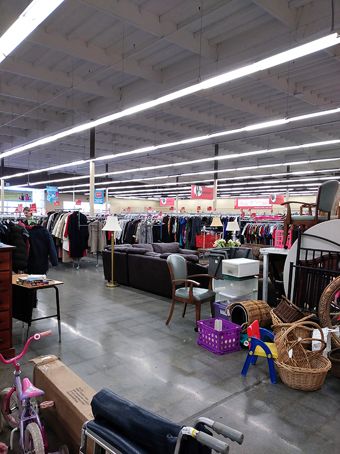 A treasure hunter's paradise where furniture mingles with clothing racks, creating an indoor yard sale that's actually organized.