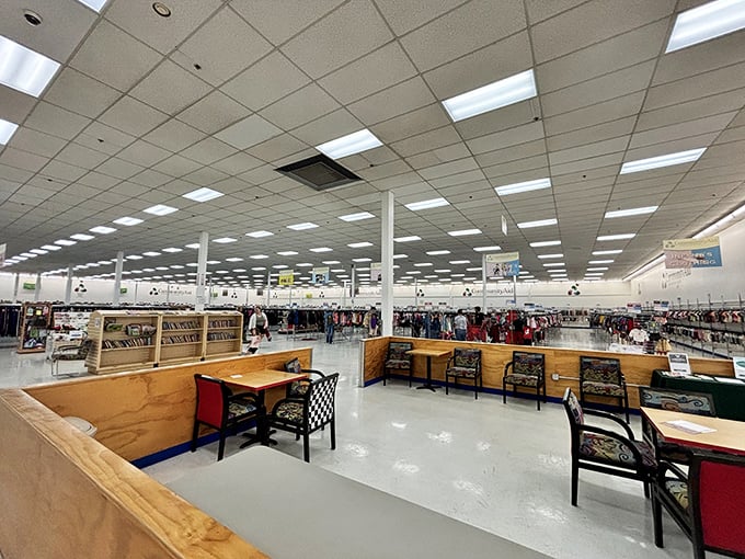 Welcome to the great indoors where treasure hunting meets fluorescent lighting and your wallet gets a much-needed vacation.