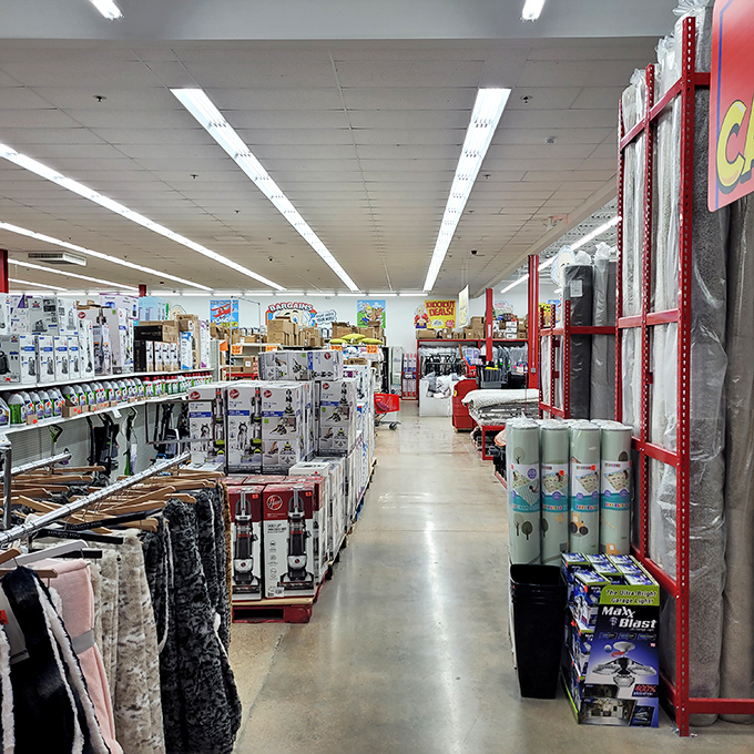 Aisles stretch toward retail infinity, a wonderland where household essentials and unexpected treasures coexist in beautiful, chaotic harmony.