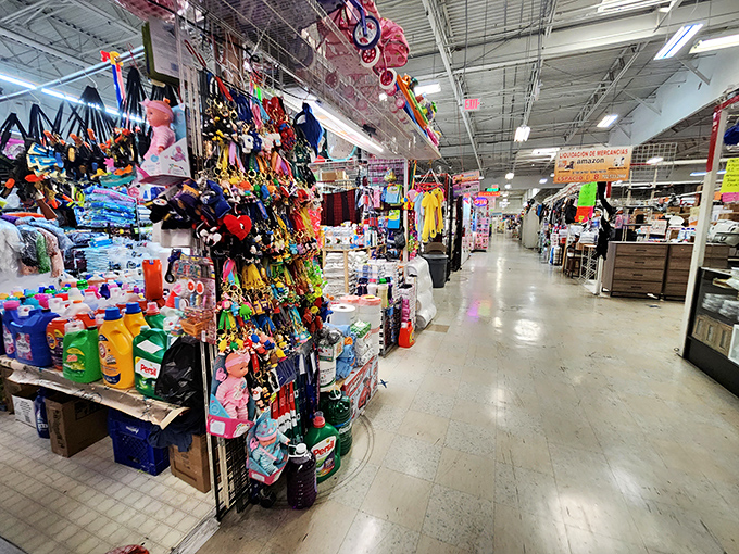 Aisles that seem to stretch into infinity, each one a different chapter in the story of "things you didn't know you needed."