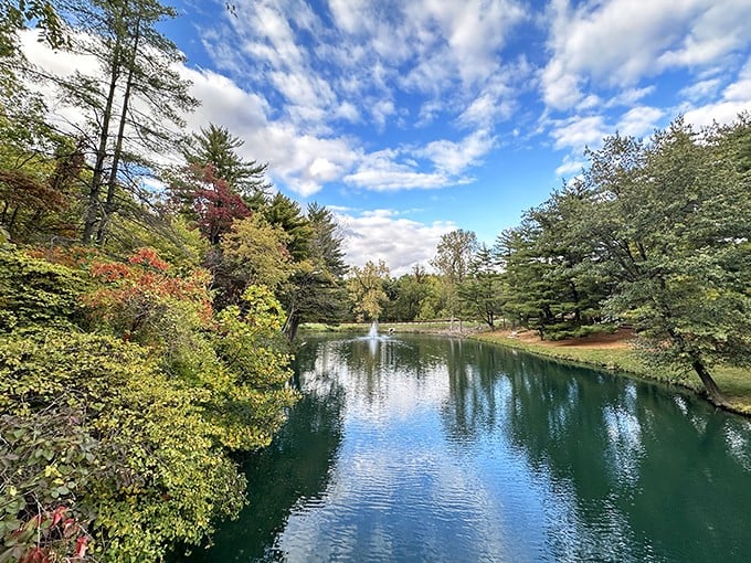 Mirror, mirror on the pond&mdash;who's the most photogenic landscape around? The answer changes with every season.