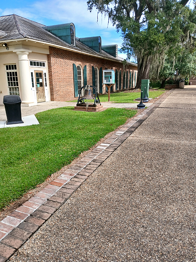 The Bayou Teche Museum showcases local heritage beneath Spanish moss-draped oaks &ndash; history lessons were never this photogenic in school.