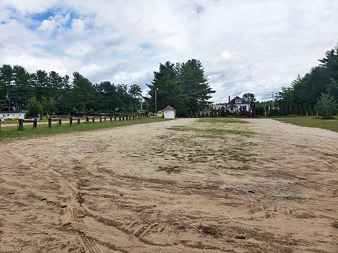 Empty today, but tomorrow this field transforms into a bustling marketplace where empty trunks arrive and leave filled with stories disguised as stuff.