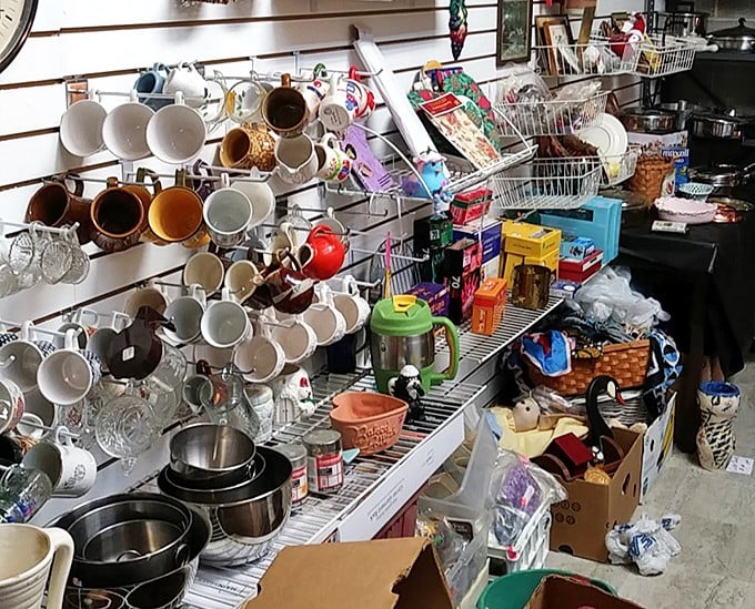 Mug heaven! Every cup tells a story, and at these prices, you can collect enough tales to fill a library of morning coffee moments.