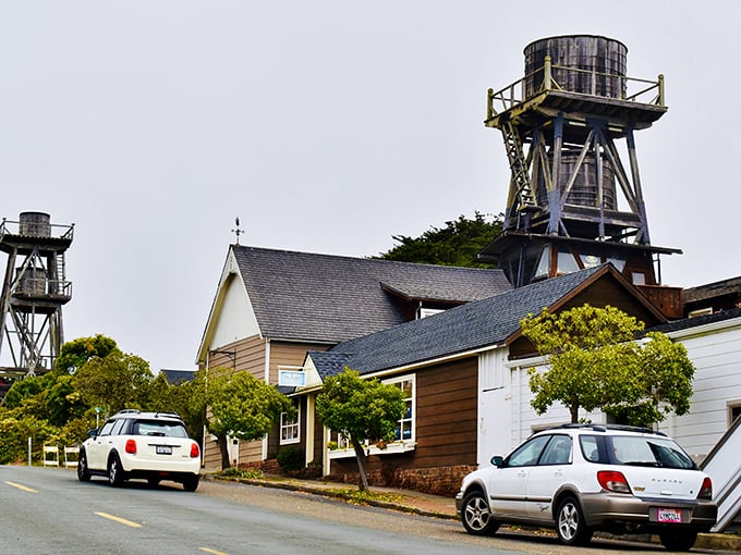 Those iconic water towers stand like friendly sentinels over Mendocino, remnants of the logging era now watching over a more peaceful existence.