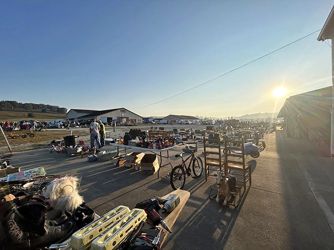 Golden hour transforms the outdoor market into a treasure hunter's paradise with endless possibilities.