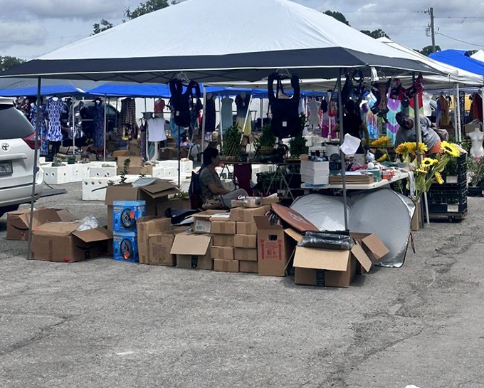 Organized chaos at its finest. Vendors arrange their wares under canopies while early birds scout for deals before the Florida sun cranks up the heat.