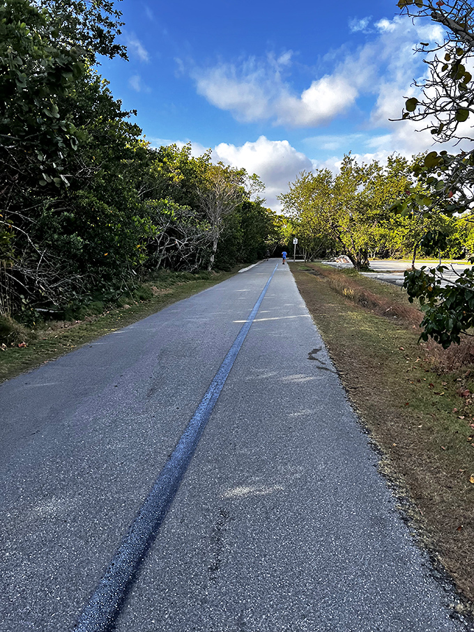 The park's main trail beckons with promises of discovery, a ribbon of pavement cutting through wilderness just steps from urban chaos.