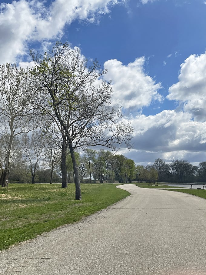 Tree-lined paths that whisper "slow down" louder than your GPS screaming about traffic delays.