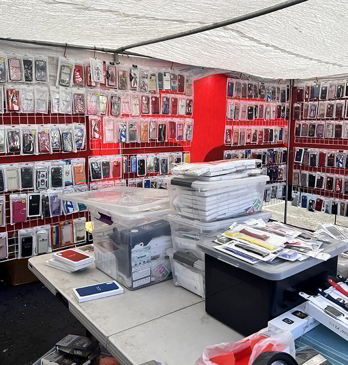 Need a phone case? Take your pick from hundreds! This vendor's display is like the Library of Congress for smartphone accessories.
