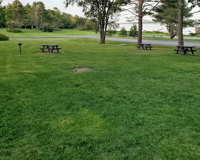 Picnic tables with a bay view &ndash; because your sandwich deserves better than your kitchen table and fluorescent lighting. 