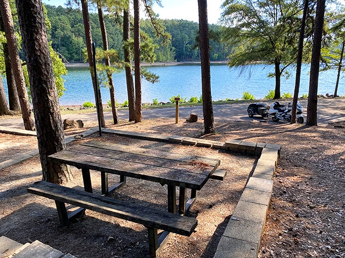 Lakeside dining with a five-star view. This picnic spot offers the kind of ambiance fancy restaurants try to recreate with wallpaper and sound machines. 