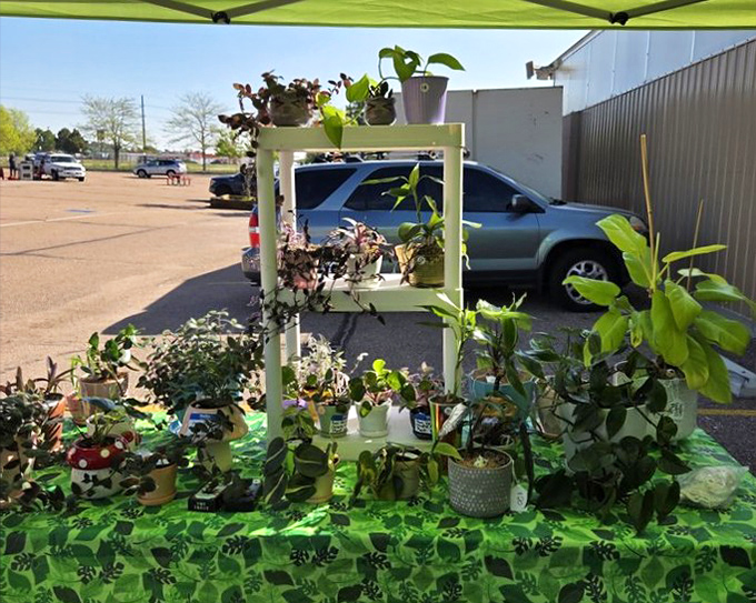 2. plantsaNature's retail therapy! These plant vendors transform concrete into impromptu gardens, offering everything from common houseplants to exotic green companions.