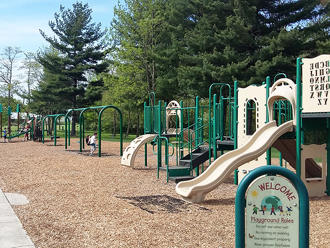 Childhood joy engineered in green and beige. The universal language of slides and swings speaks fluently to both five-year-olds and their suddenly nostalgic parents. 