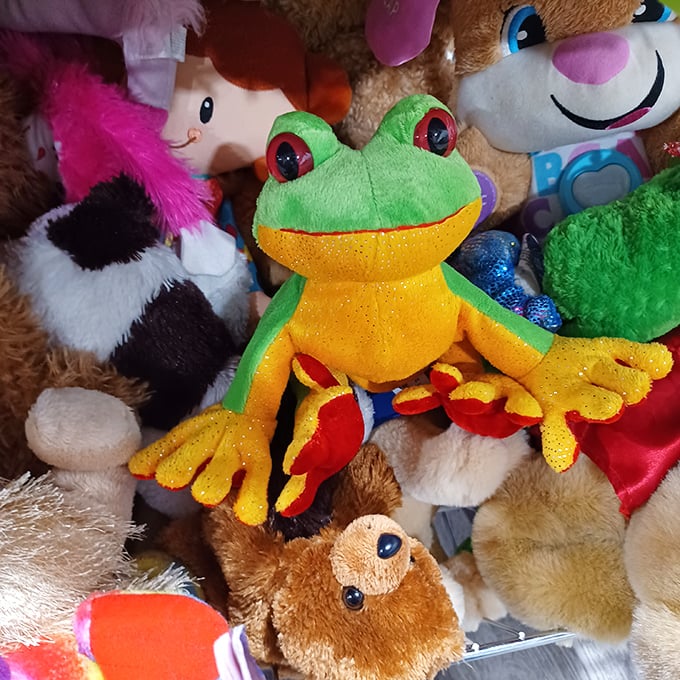 A colorful menagerie of stuffed animals waits for new homes &ndash; that bright-eyed frog might just be someone's next beloved bedtime companion.