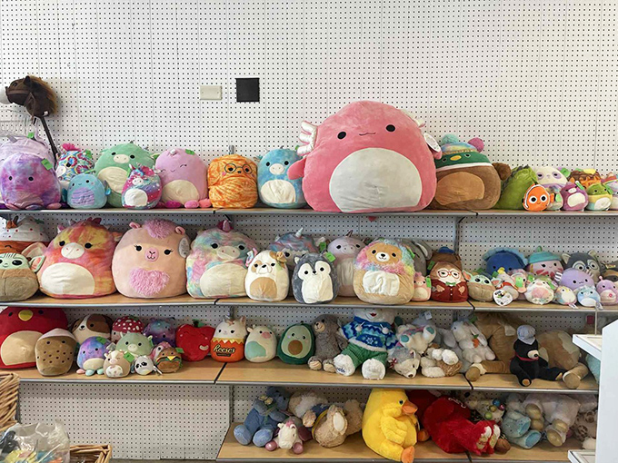 A colorful army of Squishmallows stands at attention, ready to bring joy to new homes for a fraction of retail prices.