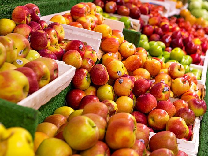 Nature's color palette on full display. These Pennsylvania apples aren't just photogenic&mdash;they're the real deal, with flavors that put supermarket counterparts to shame.