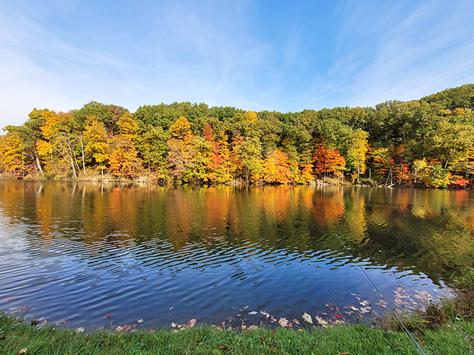 Fall foliage reflected in still waters&mdash;nature's version of a double feature where the sequel is just as stunning as the original.
