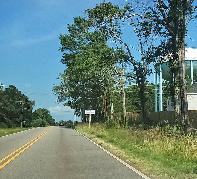 The road into Opelika promises adventure without traffic jams. When's the last time your commute looked this peaceful?