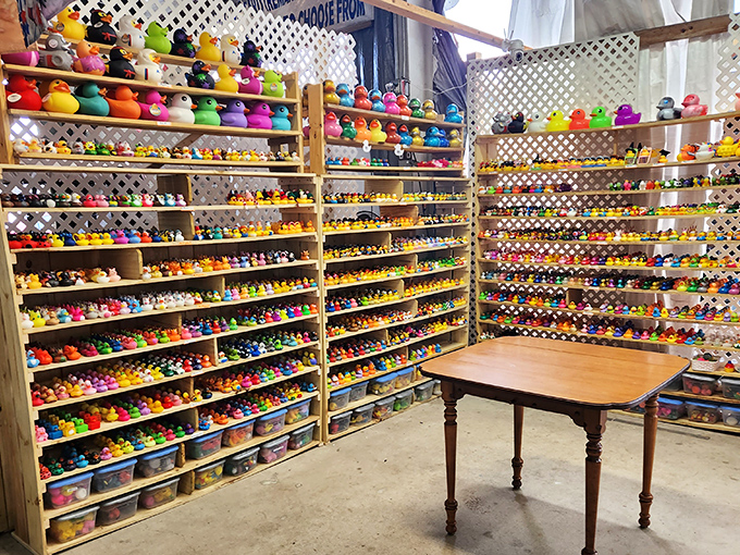 Rubber duck heaven isn't just for bathtime anymore. This collection would make Ernie from Sesame Street quit his day job.