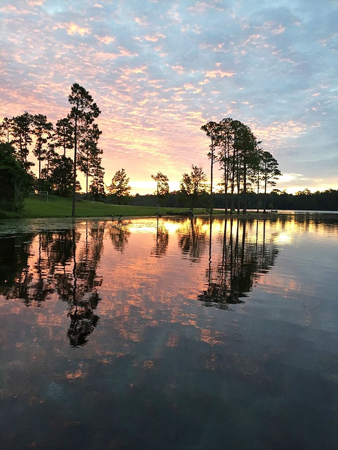 Sunsets here don't just happen&mdash;they perform. The sky puts on its evening show while pine sentinels stand at attention along the shoreline.