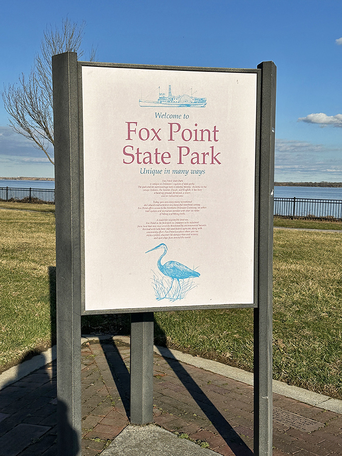 Blue skies, fluffy clouds, and a picnic table with million-dollar river views. Some people pay fortunes for what Fox Point offers for just a park entrance fee.