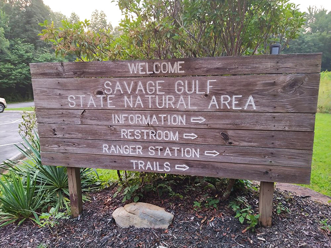 This weathered welcome sign promises adventure with rustic charm &ndash; like a handwritten invitation from Mother Nature herself.