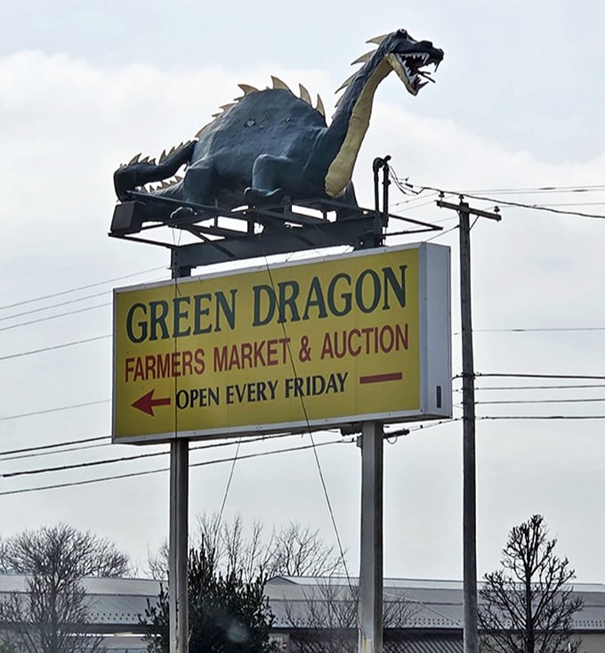 Like a neon-yellow North Star for bargain hunters, this iconic sign has guided Friday shoppers to treasure for generations.