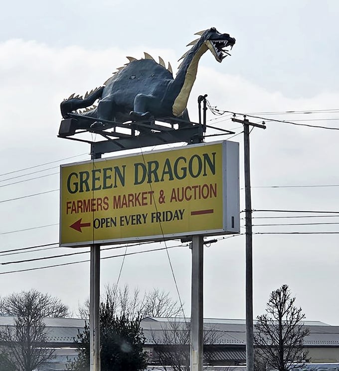 Nothing says "come find treasures" quite like a fire-breathing dragon perched atop a yellow sign, guarding Friday's bounty of bargains and delights.