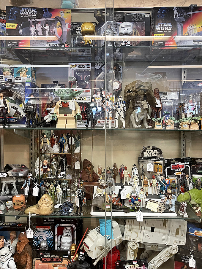 Not just any Star Wars collection—this is where Jedi Masters of collectibles display their galactic treasures for padawan bargain hunters.