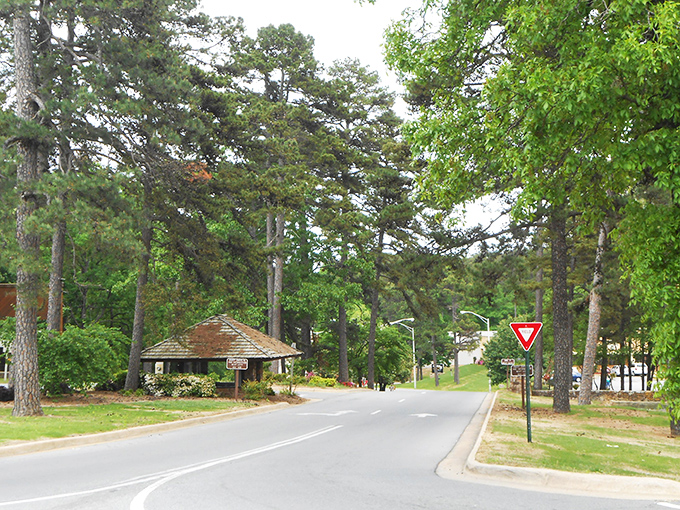 Tree-lined streets welcome you to Hot Springs Village, where nature didn't get the memo about urban sprawl and decided to stay put.