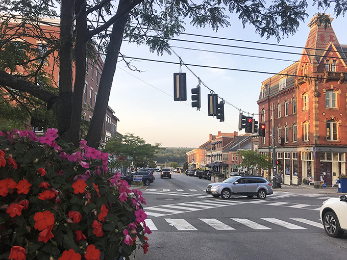 Downtown Belfast blooms with unexpected charm, where flower boxes soften the edges of this working waterfront town.