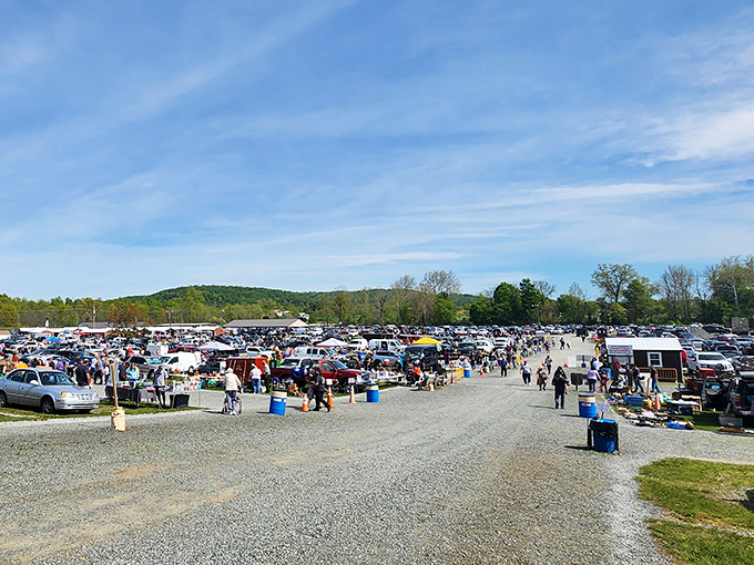 The modern-day bazaar where cars become impromptu storefronts and every aisle promises a different adventure. Comfortable shoes required!