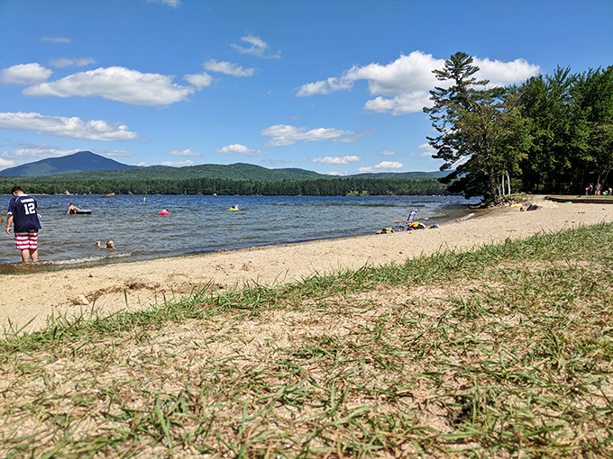 Webb Beach offers that perfect Maine swimming experience&mdash;refreshingly cool water that makes you gasp, then laugh, then wonder why you don't do this every weekend.
