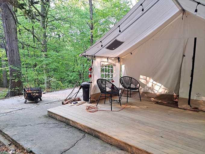 Morning coffee tastes better when your "kitchen" view includes endless forest. This glamping setup proves wilderness comfort isn't an oxymoron.