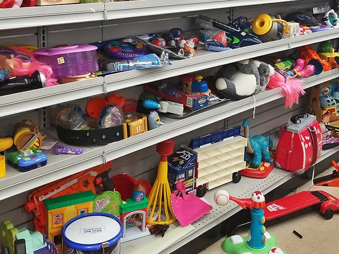 Childhood nostalgia overflows from these shelves. One person's outgrown toys become another child's new adventure, proving plastic joy never really goes out of style.