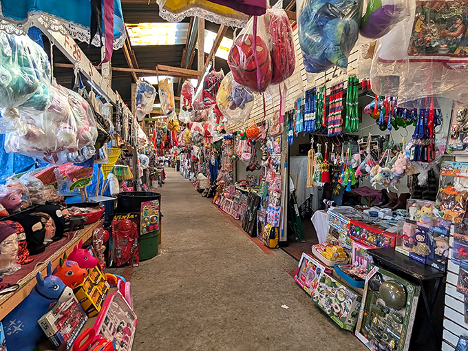 Toy paradise! Walking through this aisle feels like stumbling into Santa's workshop if he had a vacation home in Houston.