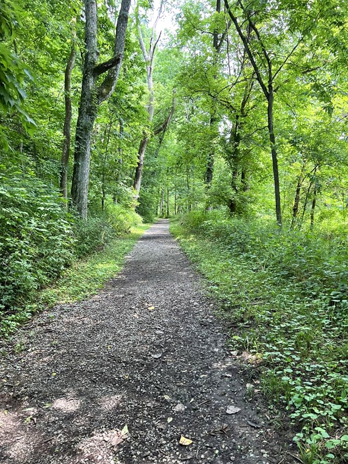 The path less traveled invites you into a green cathedral where stress dissolves with each step. Mother Nature's therapy session is now in session.