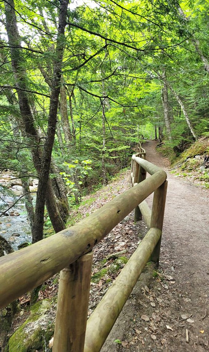 The path less hurried. This well-maintained trail invites you to slow down and savor the journey, with wooden railings guiding you toward nature's grand finale.