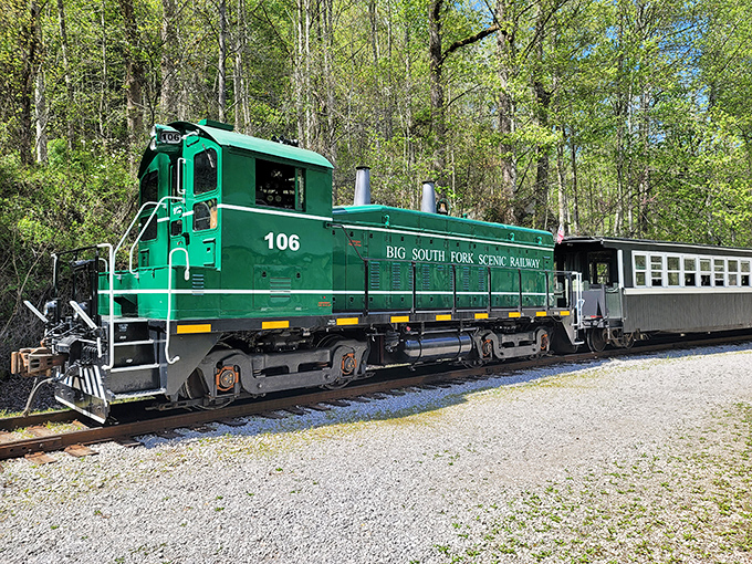 Engine #106 stands proudly in its emerald glory, like the mechanical equivalent of finding the perfect parking spot at a crowded farmers market.