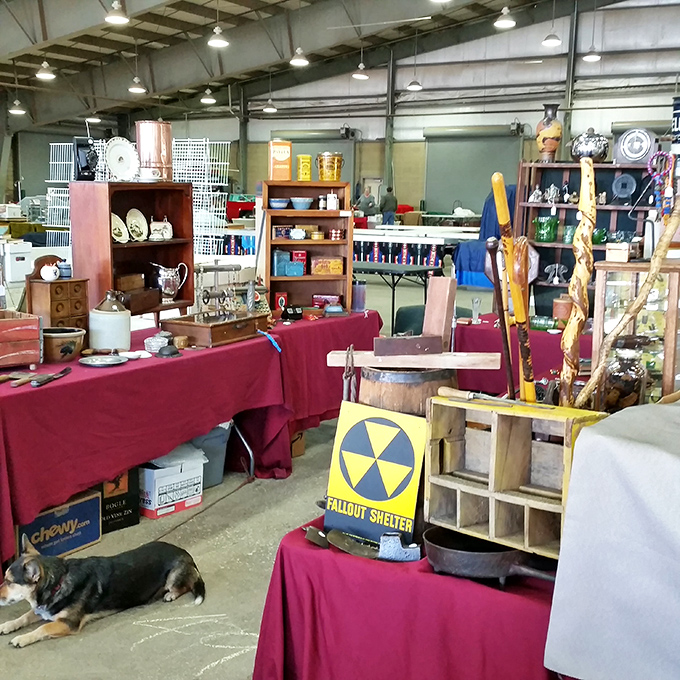Every booth tells a story&mdash;this one featuring vintage collectibles, a faithful canine companion, and that fallout shelter sign your Cold War-obsessed uncle would love.