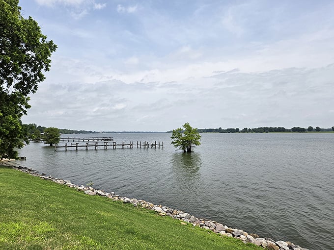 Where land meets water in perfect harmony. Lake Chicot's shoreline offers a masterclass in tranquility that no spa retreat could ever match.
