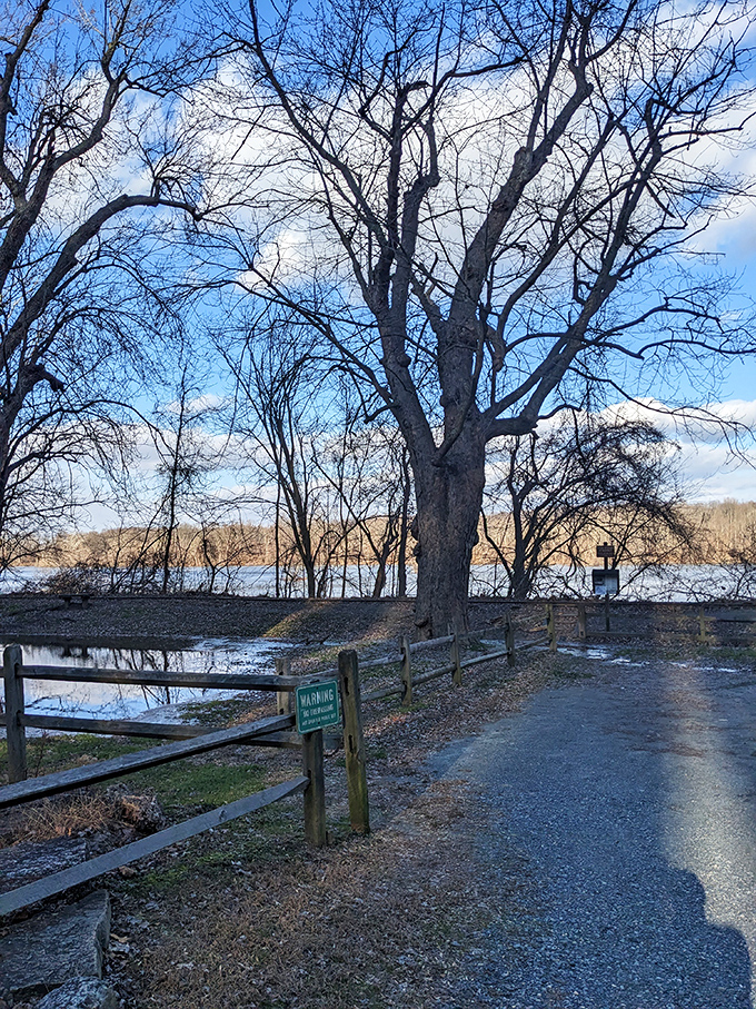 Winter's bare branches frame the path to adventure. This quiet season reveals the park's bones and beauty in equal measure.