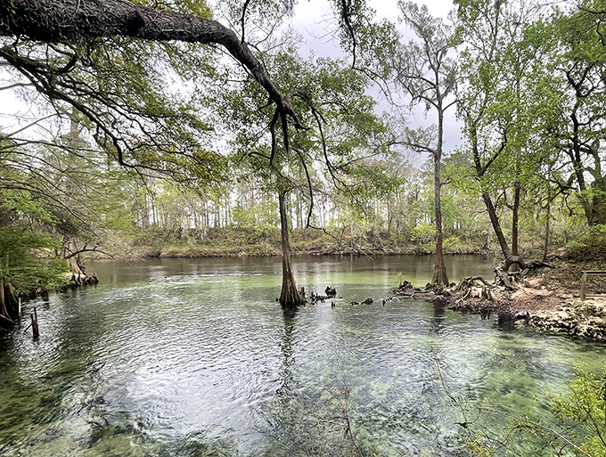 Cypress trees stand like patient sentinels around the spring, their reflections dancing on water so clear it seems almost imaginary.
