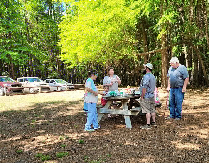 Picnic perfection under a canopy of Southern pines. Some friendships are best nurtured over sandwiches in the great outdoors.