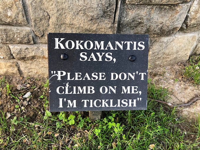 "Please don't climb on me, I'm ticklish" &ndash; proof that even giant insects have boundaries and a sense of humor.