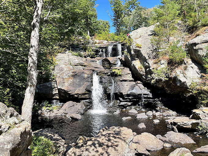 Chapman Falls doesn't just cascade&mdash;it performs, tumbling dramatically over rocky ledges like nature's own theatrical production.