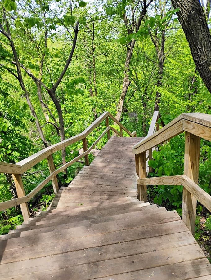 These steps aren't just stairs&mdash;they're your descent into a verdant wonderland that feels deliciously forbidden.