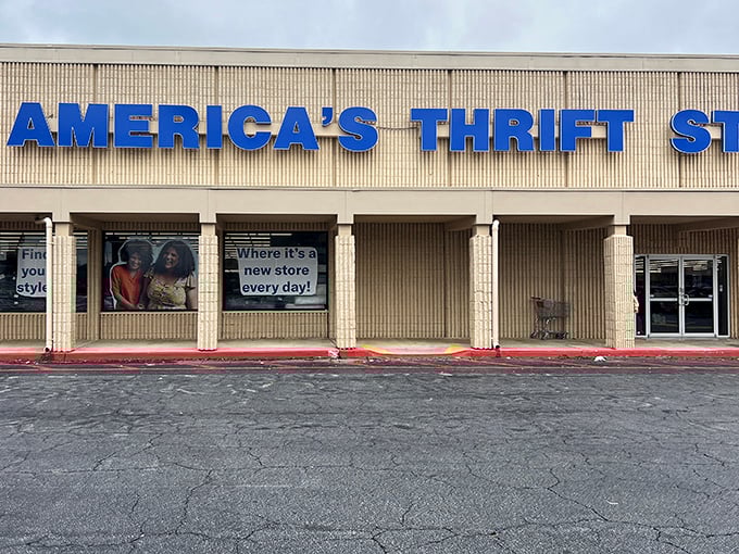 America's Thrift Store's sprawling facade might look unassuming, but inside lies a universe of unexpected finds.