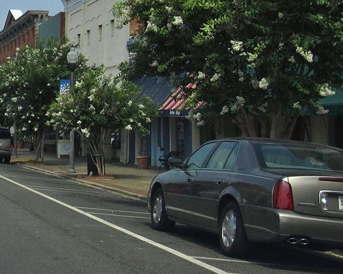 Flowering trees frame Americus's historic downtown, where your dollar stretches further than your imagination. Southern charm without the Southern price tag!